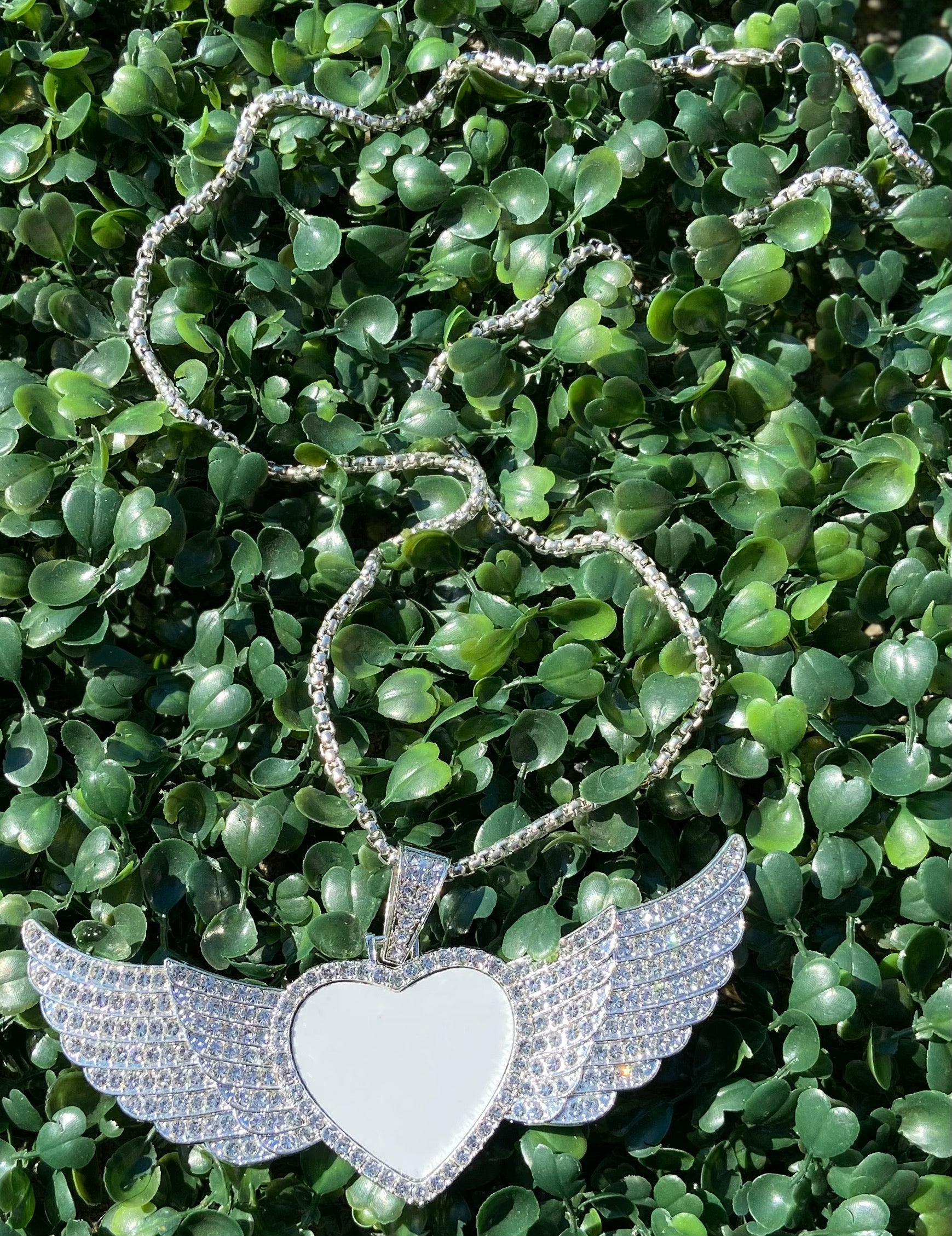 Extended Angel Wings – House of Vinyl